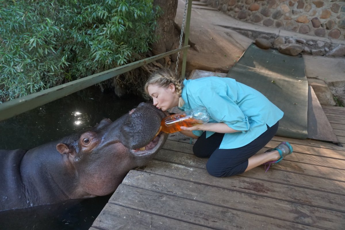 A visit to Jessica the Hippo – The Adventures of G & T in AFRICA